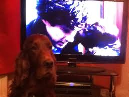 A tribute to Redbeard - Characters - Sherlock Forum